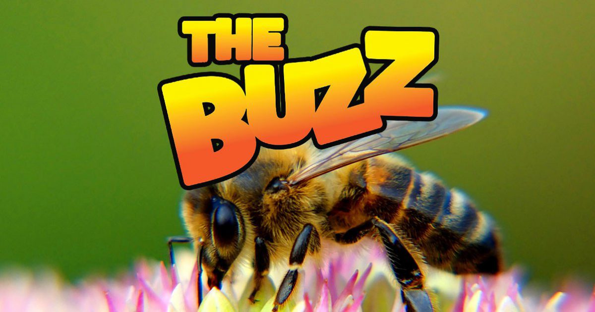 The Buzz | Science Learning Game